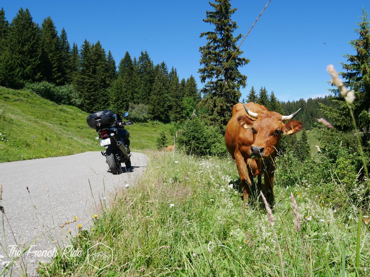 Motorcycle weekend in the Alps | France, Switzerland, Italy